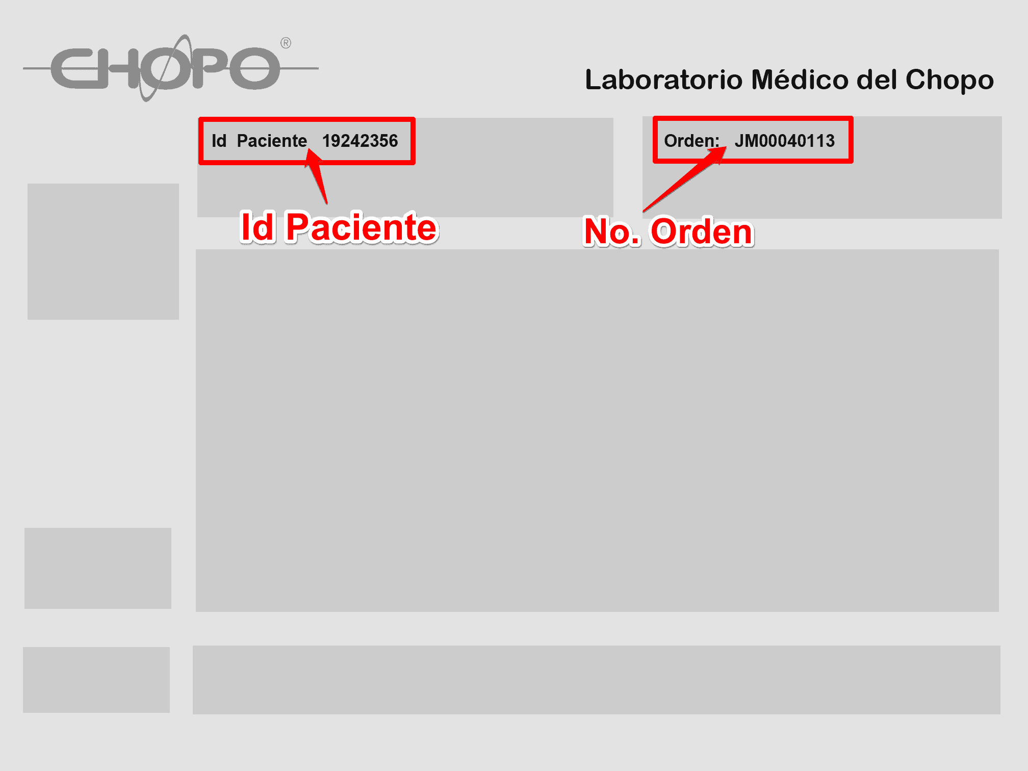 Laboratorios CHOPO Facturación –Factura en línea de análisis
