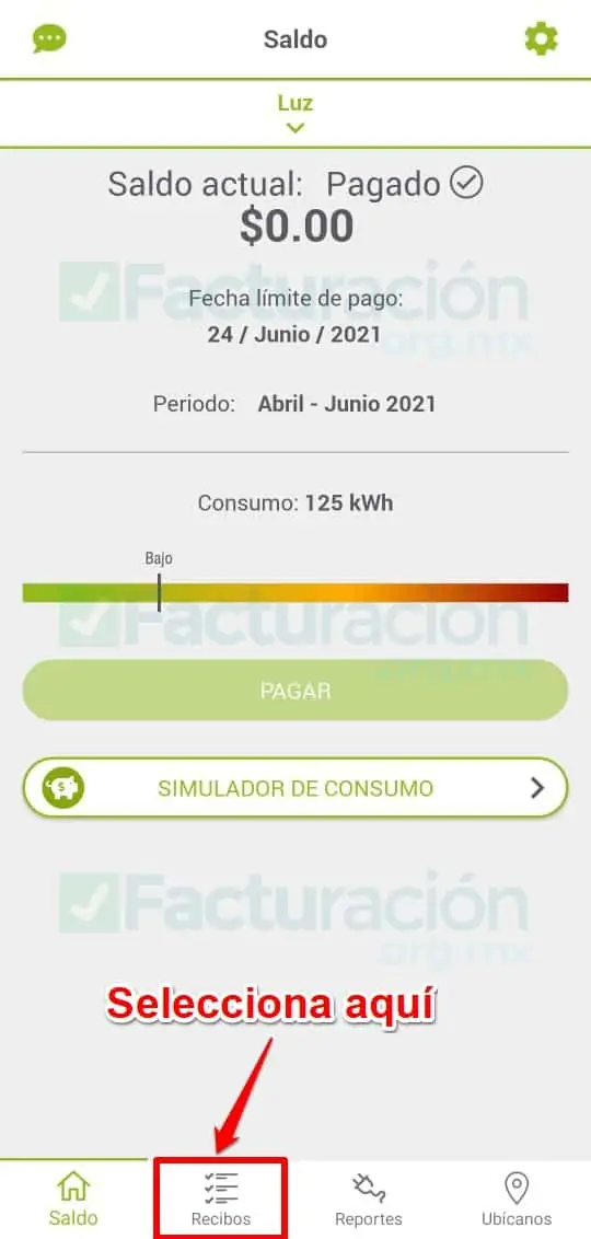 Imprimir Recibo de Luz de CFE. En minutos
