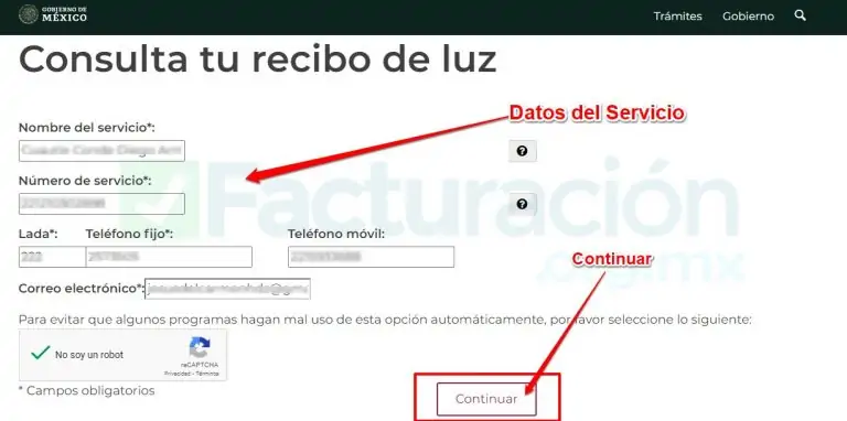 ¿Cómo Consultar el Recibo de Luz? 3 Mejores Opciones