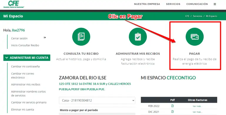 Cómo Pagar CFE en Línea. Guía y Recomendaciones