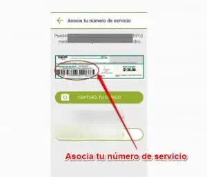 Cómo Pagar CFE en Línea. Guía y Recomendaciones